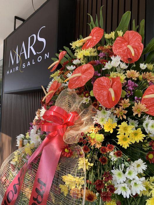 MARS Hair Salon, Putatan, Muntinlupa City - DOT ZERO Hair Studio ...